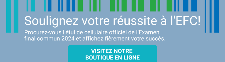 Future CPAs | Quebec CPA Order | Chartered Professional Accountants